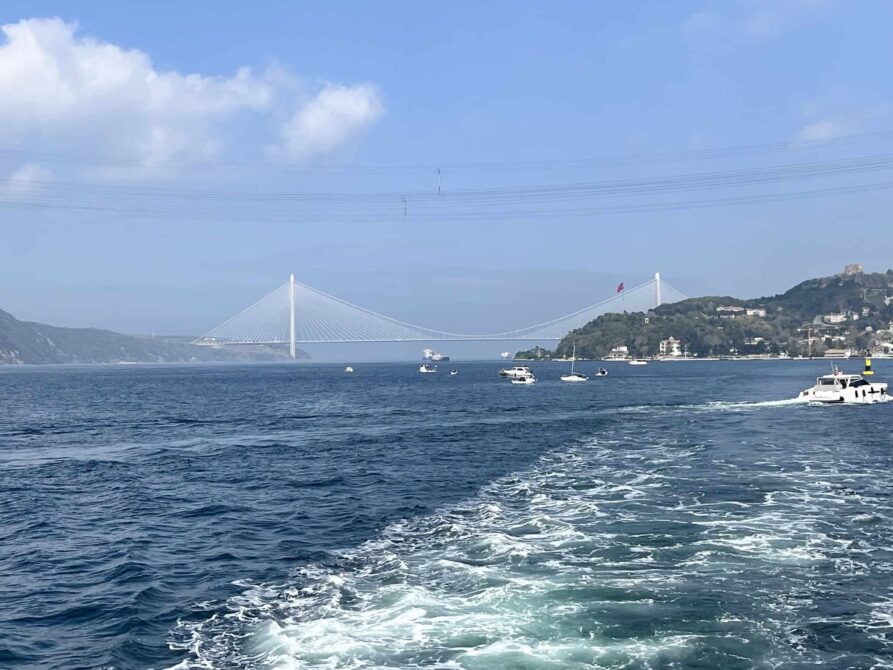 The Three Bridges of the Bosphorus - Cruise Bosphorus